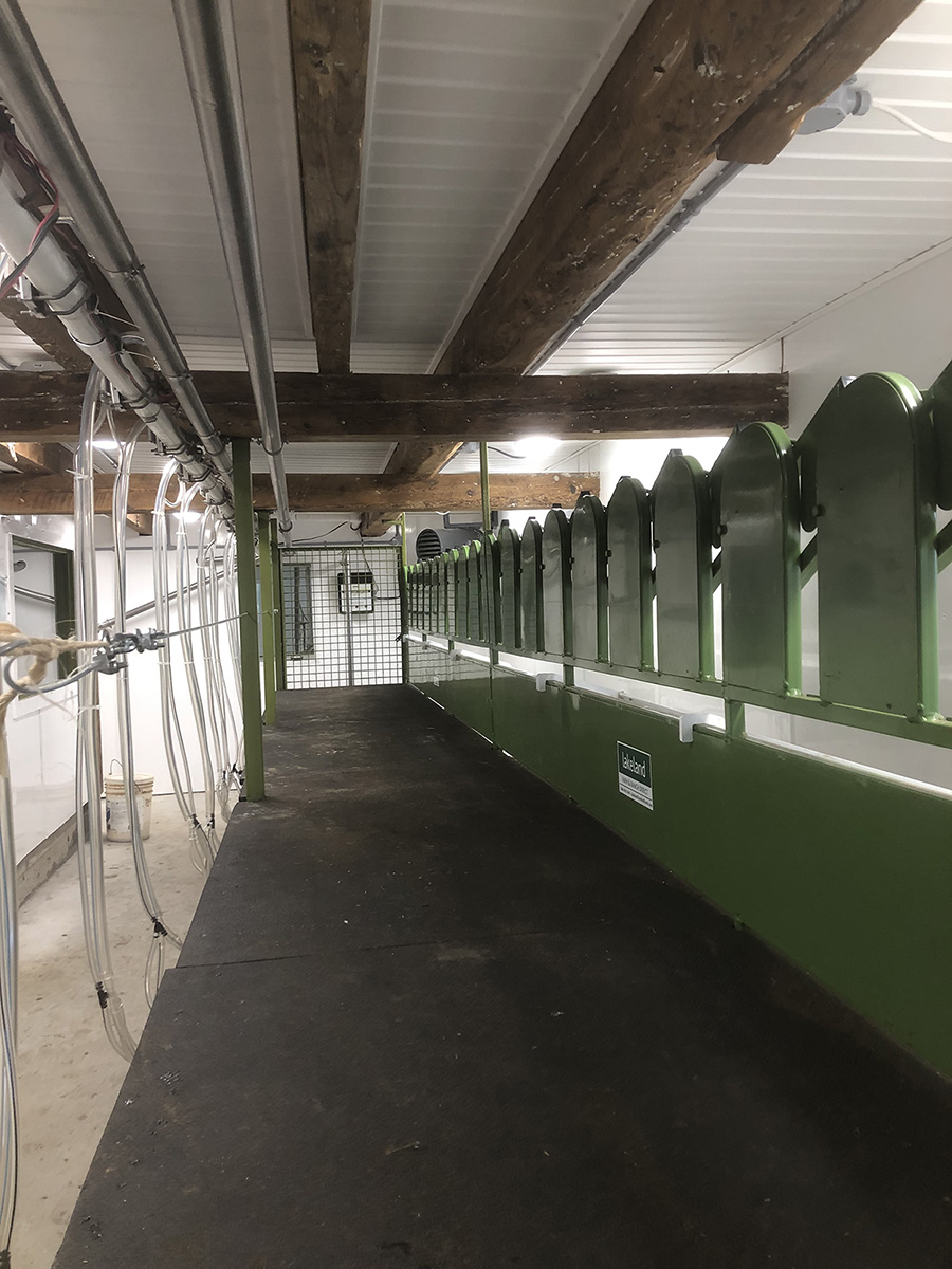 Self-Locking Head Rail for Parlors - Lakeland Farm And Ranch US