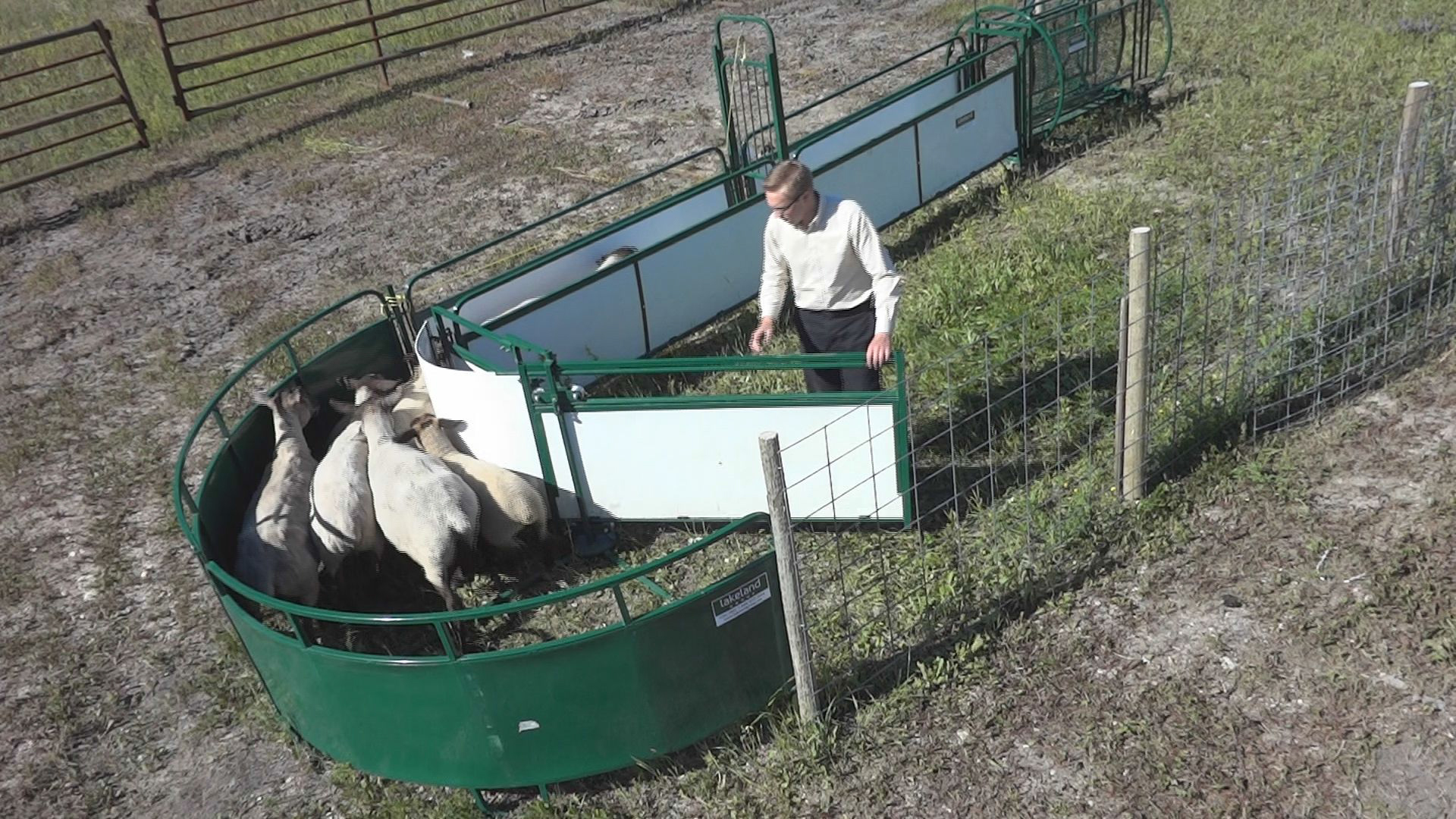SG200 - Sheep & Goat Handling System - Lakeland Farm And Ranch US