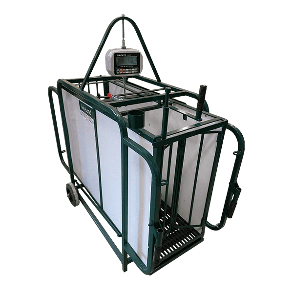 Sheep & Goat Weigh Scale with DIGITAL Scalehead - Lakeland Farm And ...