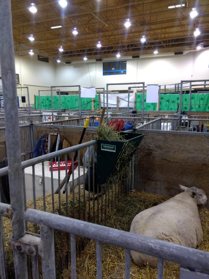 Small Hay Rack - Lakeland Farm And Ranch US