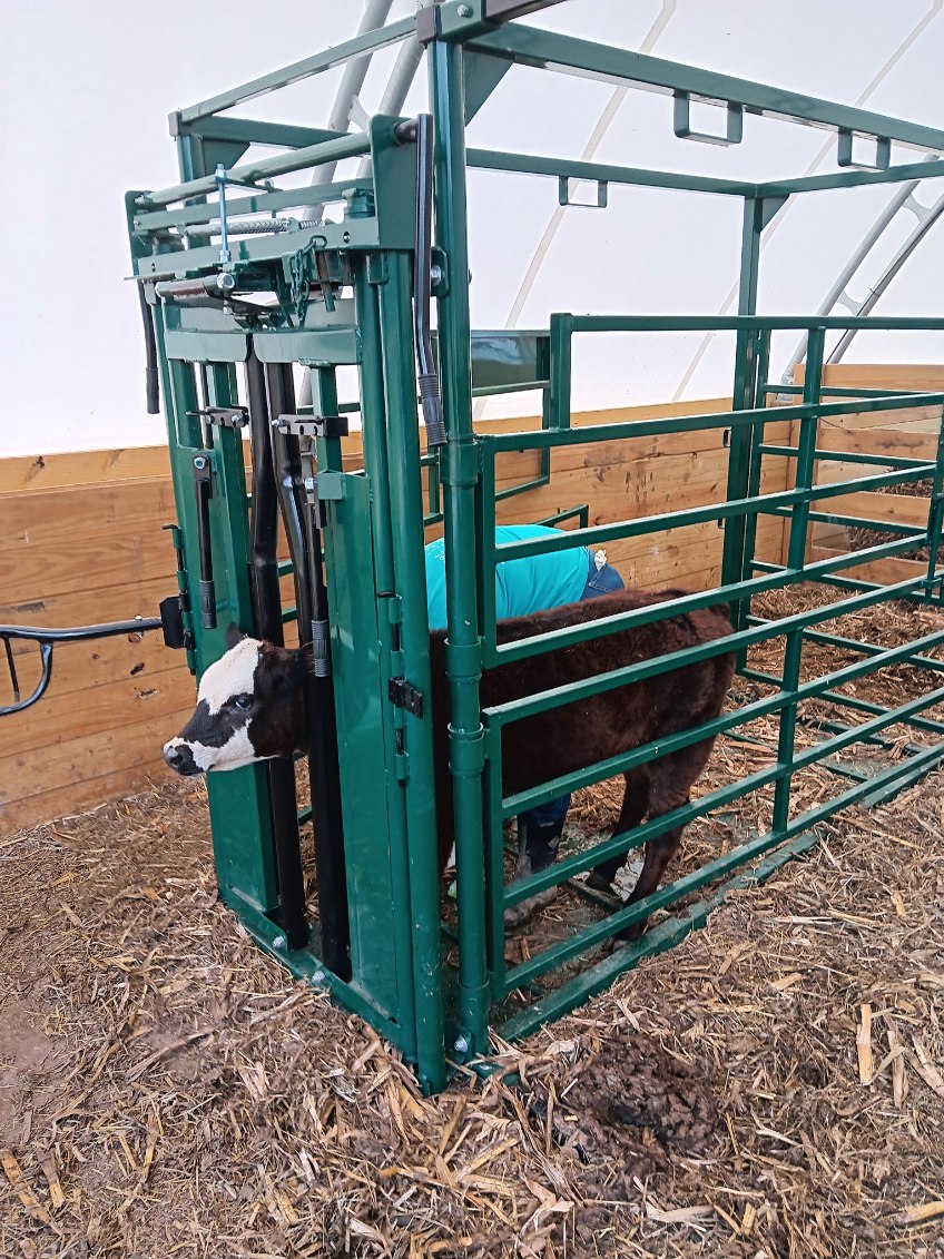 E-Series Half Circle Calving Pen - USA | Lakeland Farm and Ranch Direct