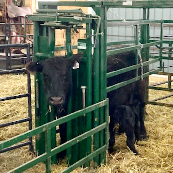 All Penning Products - Lakeland Farm & Ranch Direct