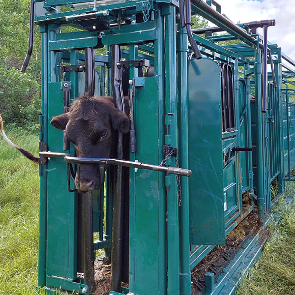 All Squeeze Chutes Products - Lakeland Farm & Ranch Direct