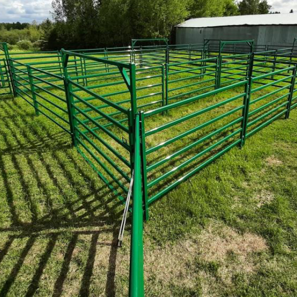 All Cattle Panels & Gates Products - Lakeland Farm & Ranch Direct