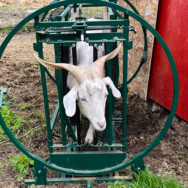 All Spin Trim Chute Products - Lakeland Farm & Ranch Direct