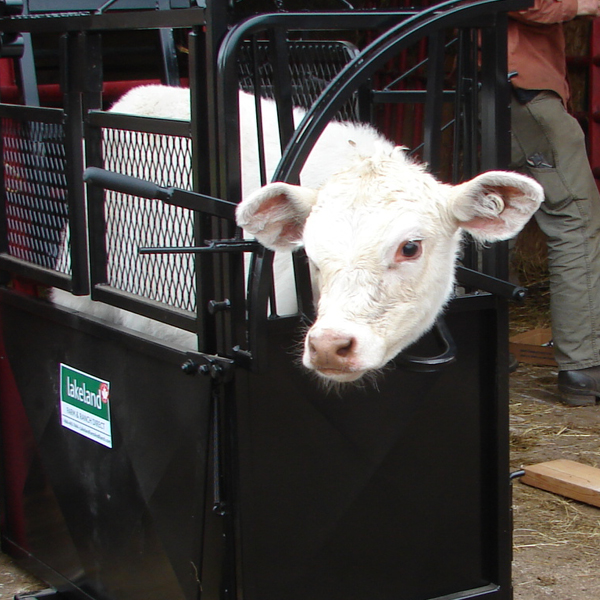 All Calving & Calf Products - Lakeland Farm & Ranch Direct