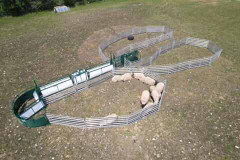 Sheep & Goat Handling Equipment