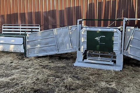 Sheep & Goat Handling Equipment