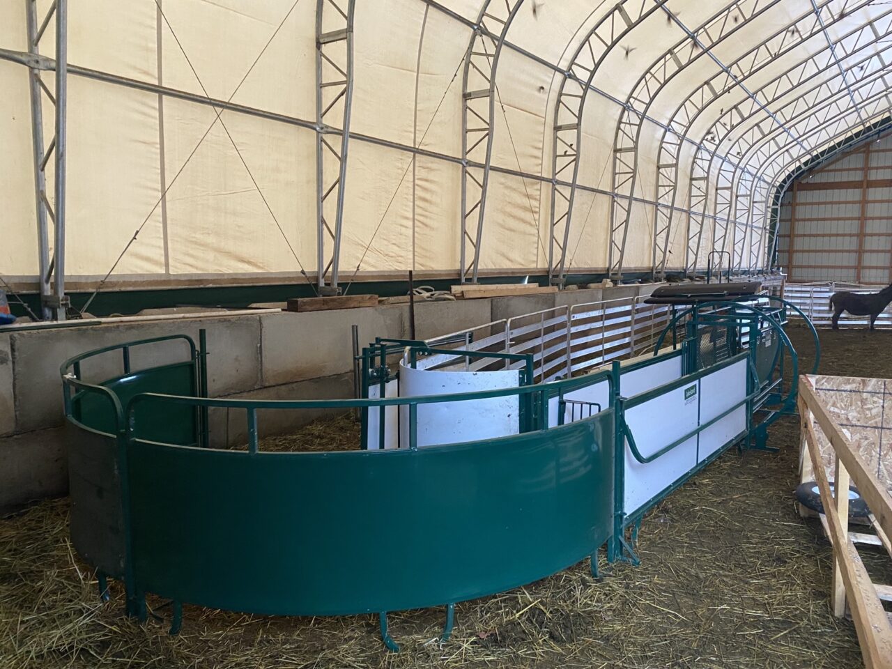 Sheep & Goat Handling Equipment